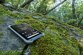 Introducing the Cedar CT8X2 Rugged Tablet – when a consumer tablet just ...