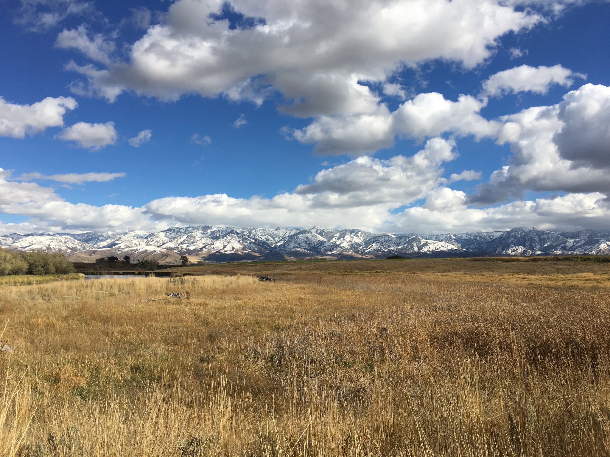 Success With Uinta: Bear River Land Conservancy’s Experience With ...
